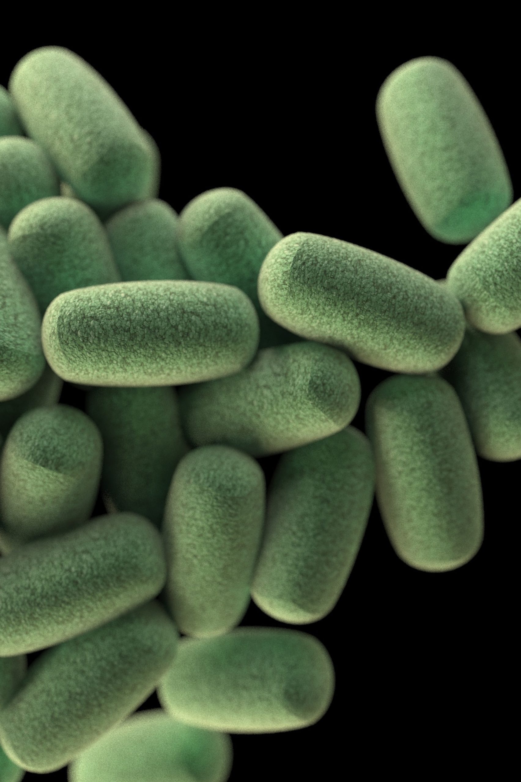 Interview: Belinda Chapman from Quantal Bioscience - Aster HR